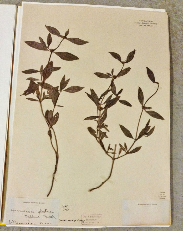 His Story – The Rolling Giant Archive